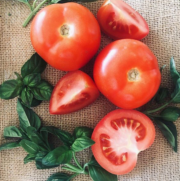 Wholesale Gourmet Tomatoes - Box 10kg