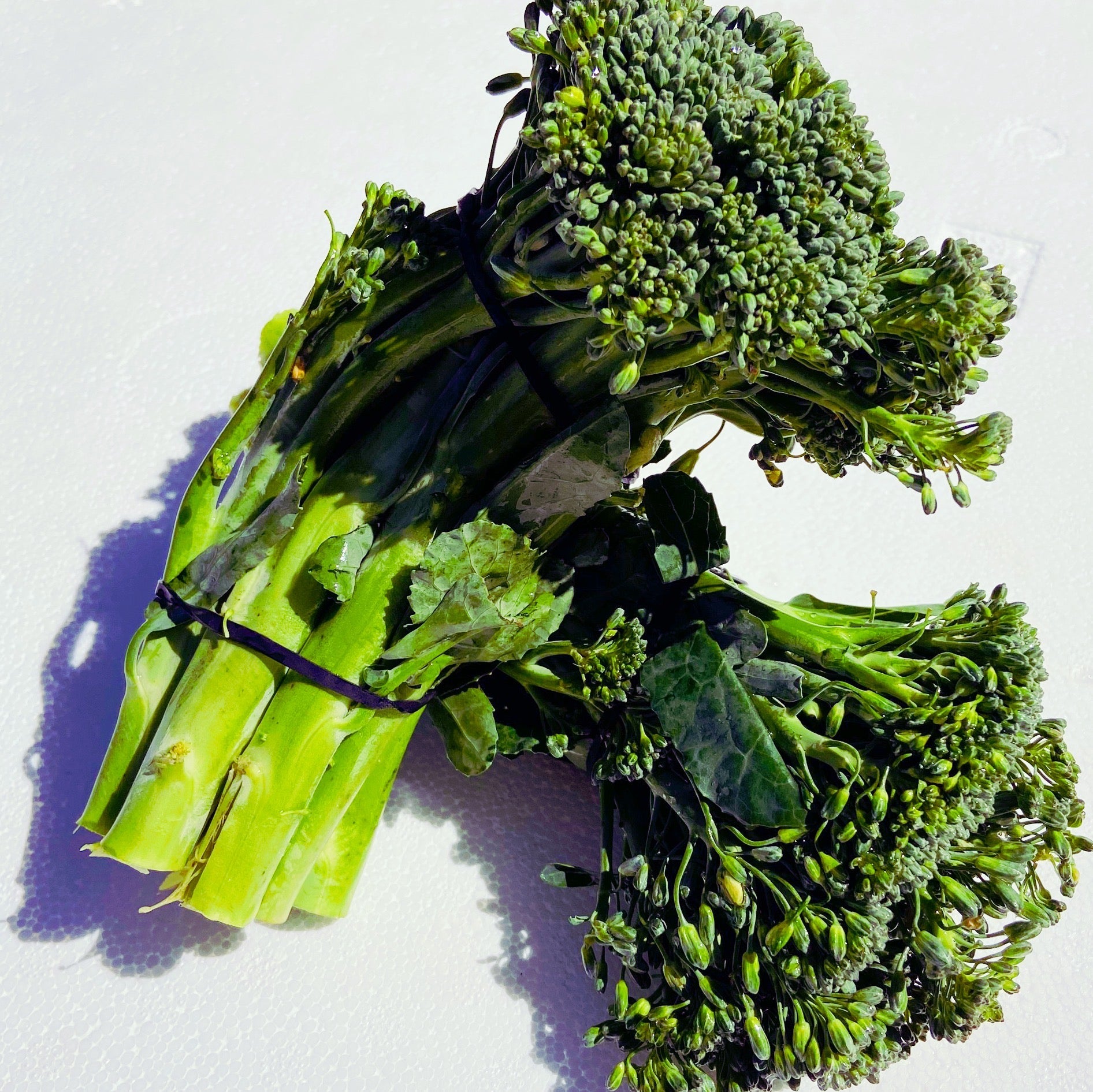 Wholesale Broccolini Box
