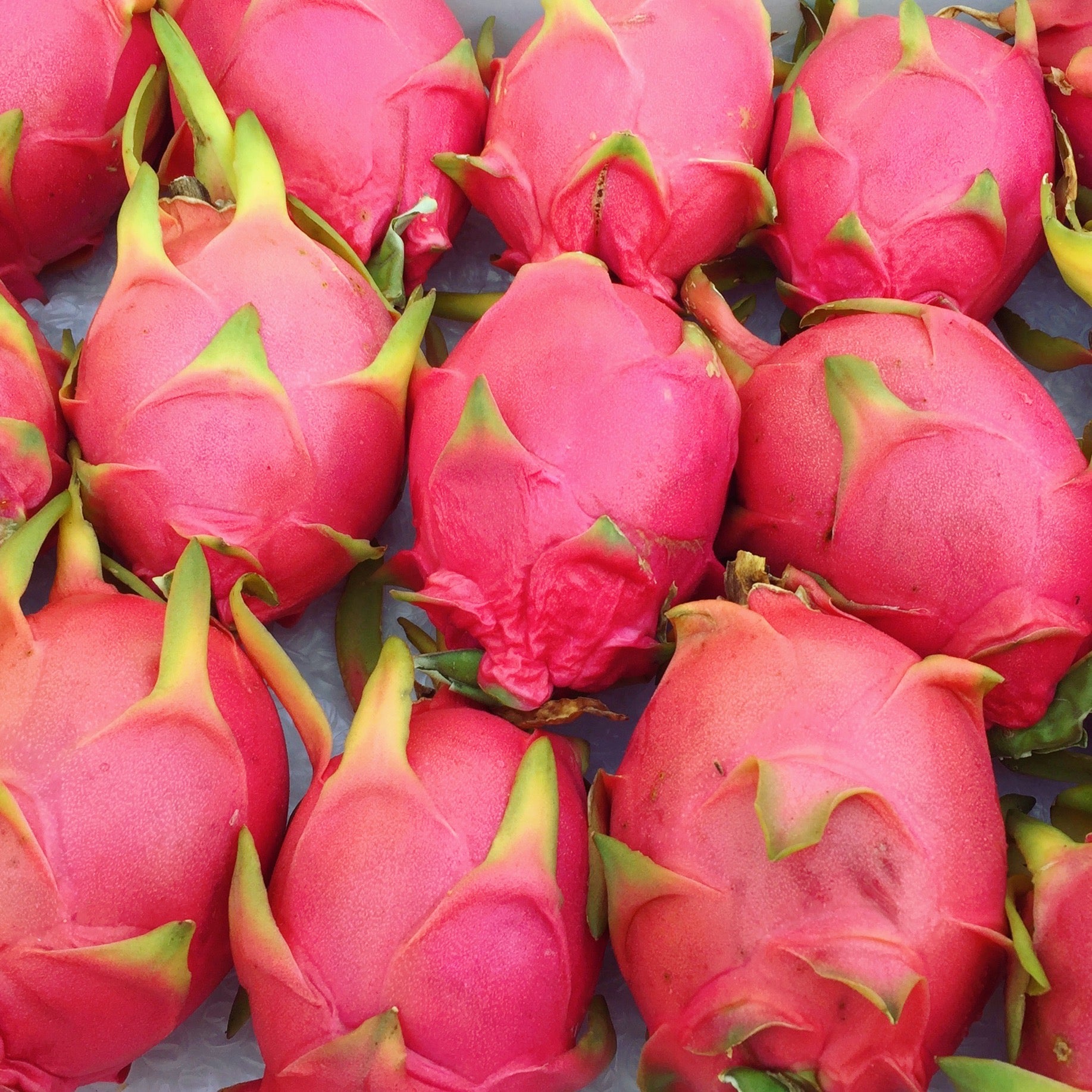 Dragonfruit