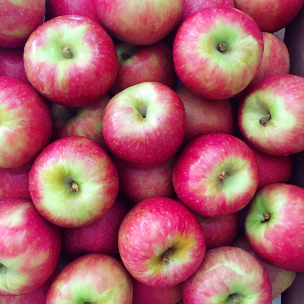 Pink Lady Apples | Grown Fresh in Stanthorpe | Farm Shop Toowoomba